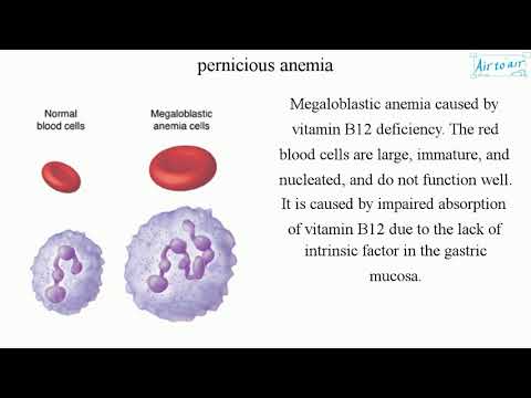 pernicious anemia (English) - Medical terminology for medical students -