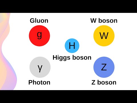 Bosons and Pros & Cons of Standard Model of Matter // HSC Physics