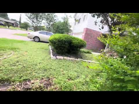 Sensitive topic . What do you do when neighbor stole your landscape rocks?😤