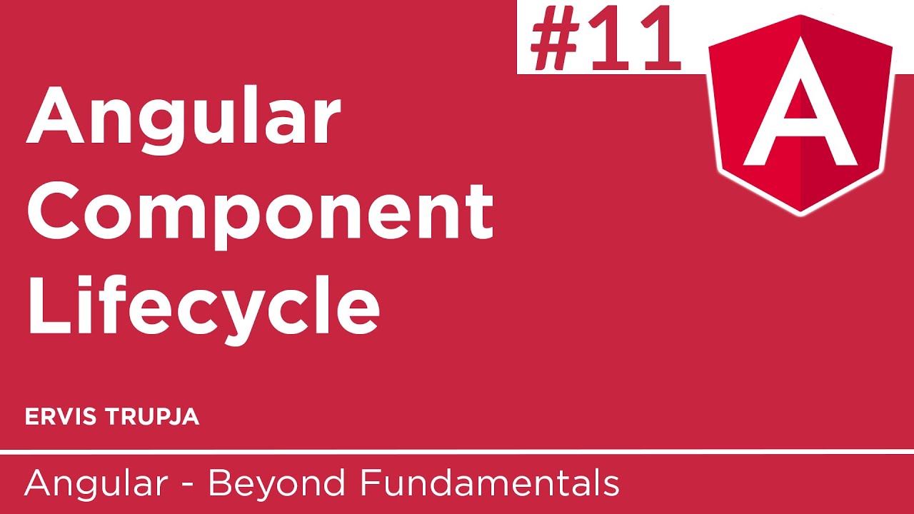 11. Angular Component Lifecycle