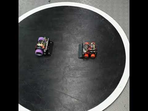1kg Auto sumo robot