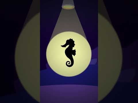 🔍 Guess the Marine Animal 🌊 Which Sea Animal Is It? 💧 Episode 9