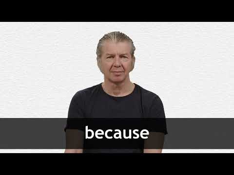 BECAUSE - Definition & Translations | Collins English Dictionary