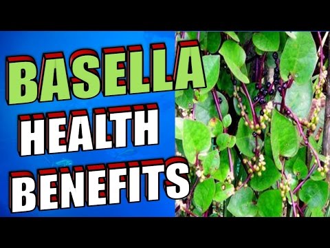 Amazing Health Benefits of Basella or Alugbati, Malabar Spinach, Indian Spinach & Vine Spinach
