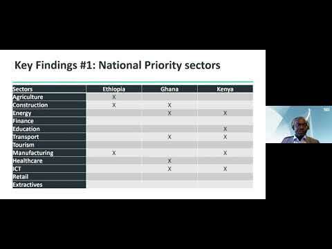 Understanding the role of development finance institutions in promoting development
