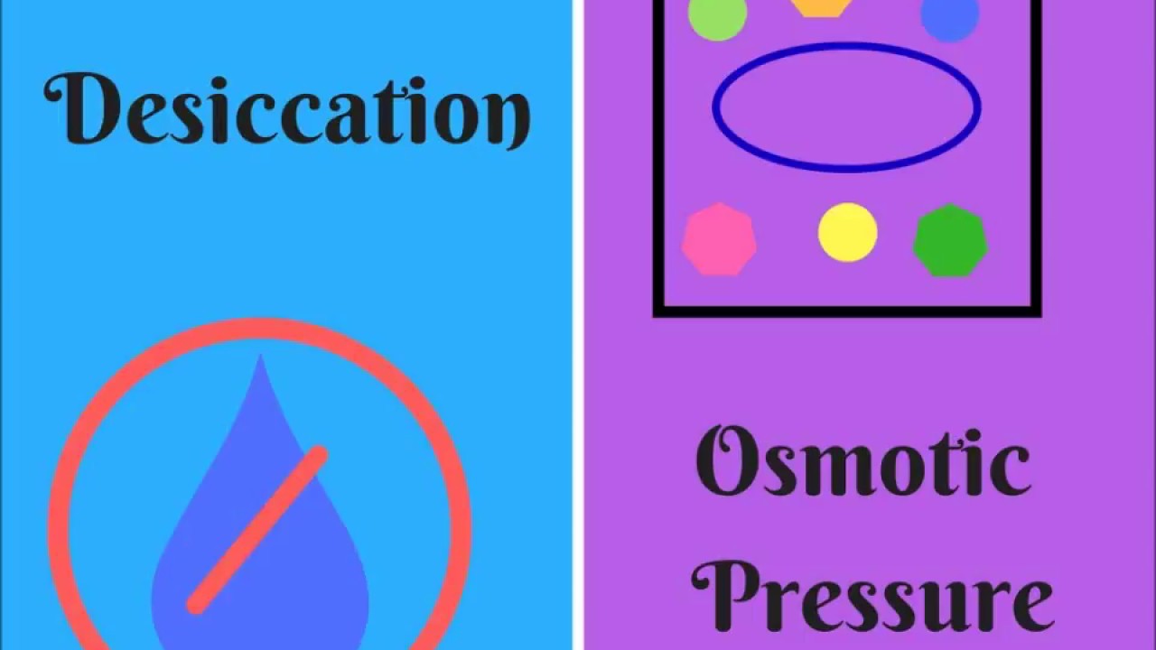 Desiccation and Osmotic Pressure | How to Study Microbiology