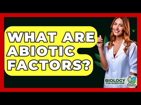 What Are Abiotic Factors? - Biology For Everyone
