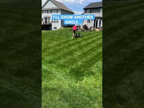 How many patterns of satisfying lawn stripes!? #lawnstripes #satisfying #patterns #lawn #grass