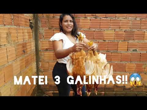 MATEI 3 GALINHAS DE UMA VEZ...