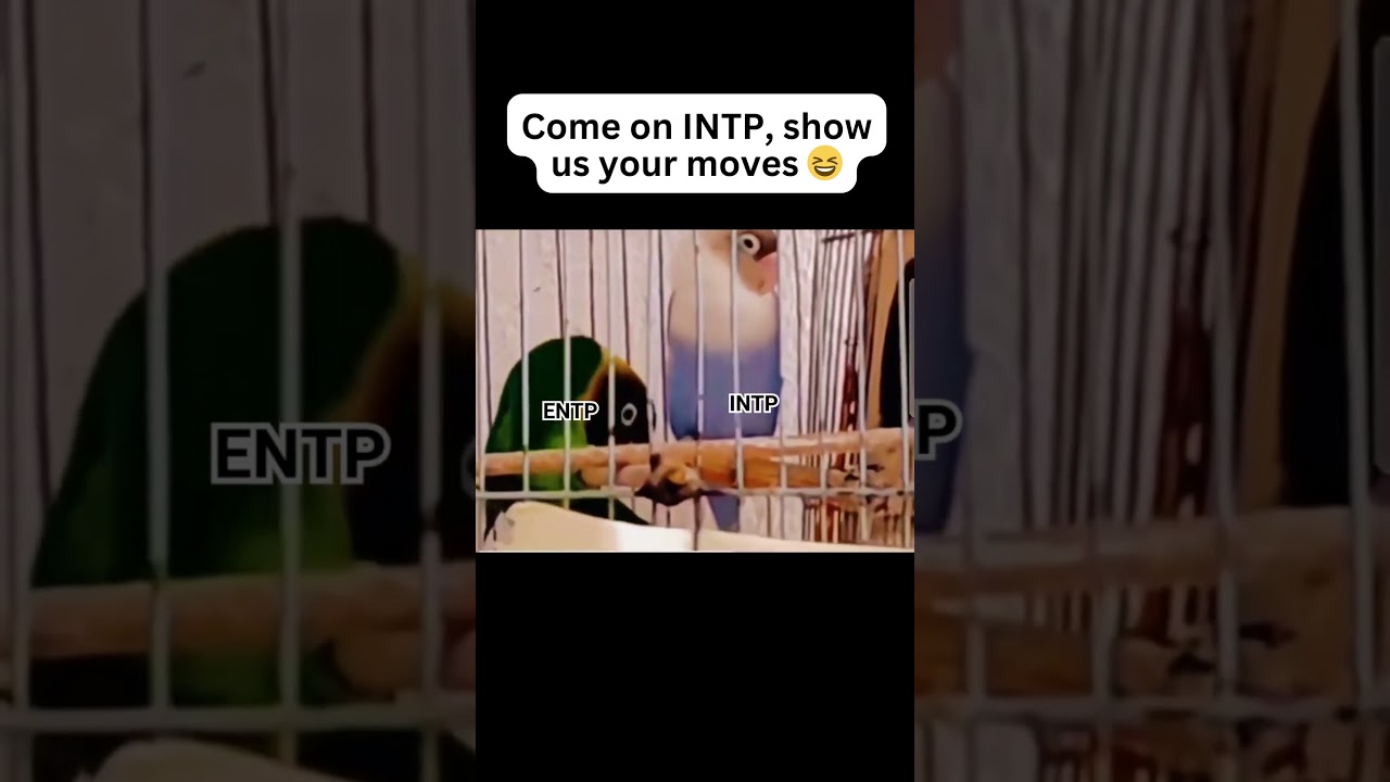 Come on INTP, show us your moves 😆