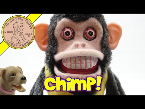 Musical Jolly Crazy Monkey, Cymbal Smashed By A Chimp!