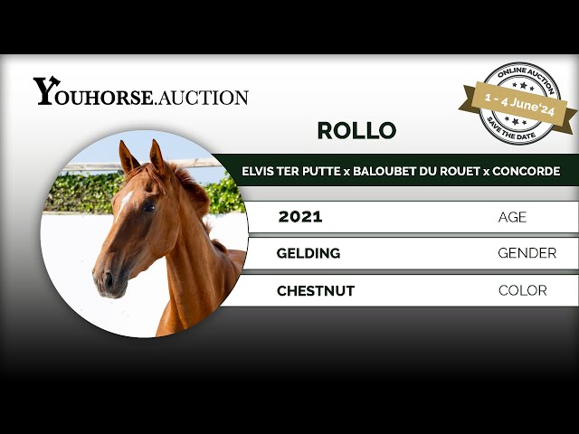 Youhorse.auction | Rollo