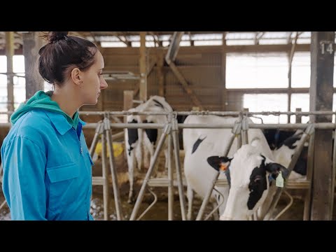 Under the Microscope | Ursula Abourjeileh