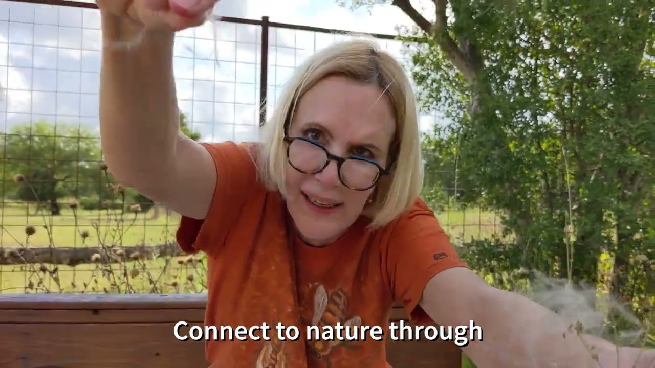 Visit Phil Hardberger Park!