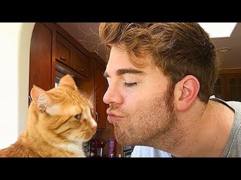 Shane Dawson and His Cat #MeowToo #CatLivesMatter