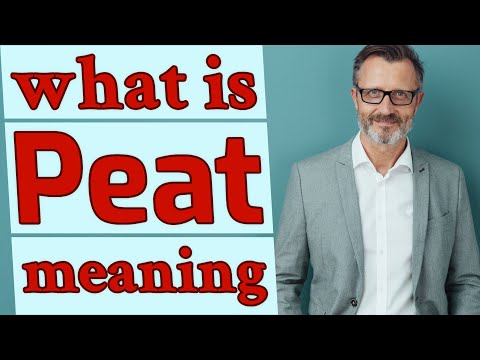 Peat | Definition of peat 📖
