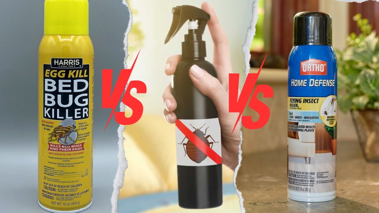 Killing Bedbugs Fast: Best Bed Bug Killer 2026 [ Reviews and Guide ]