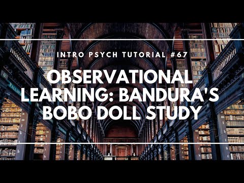 Observational Learning: Bandura's Bobo Doll Study (Intro Psych Tutorial #67)