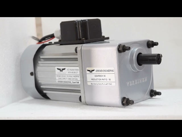 AC Induction Motor - 25W Reversible AC Induction Motor Manufacturer ...