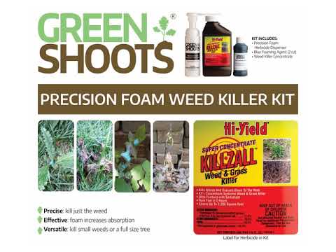 Prince Fall Show - Green Shoots Precision Foam Weed Killer Kit