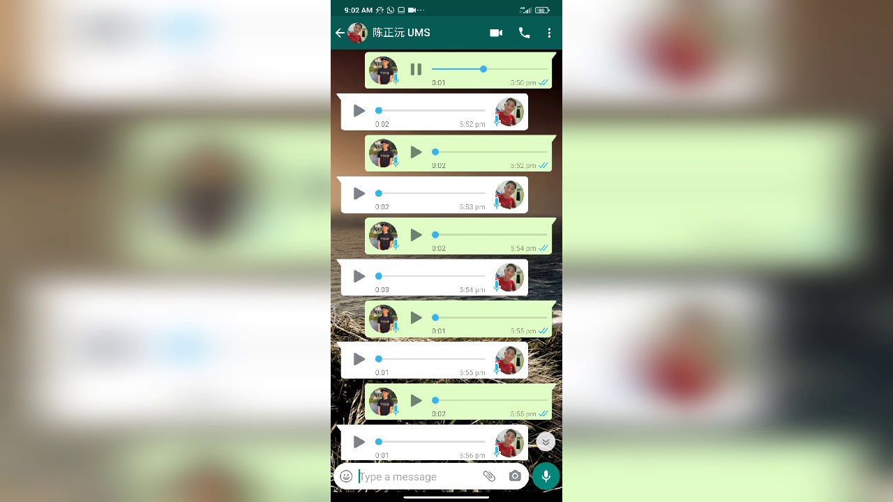 Mandarin Individual Assignment Interview