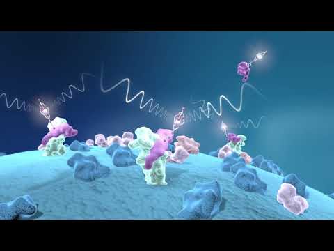 Clarity technology
