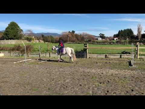 IMG 3219