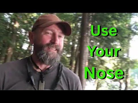 The One about Using Your Nose, Smell Nature