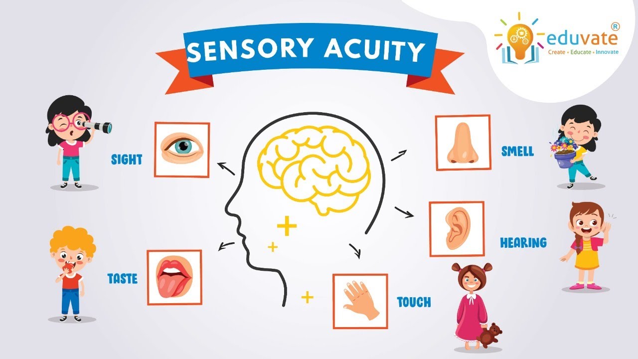 NLP Ep3: Sensory Acuity