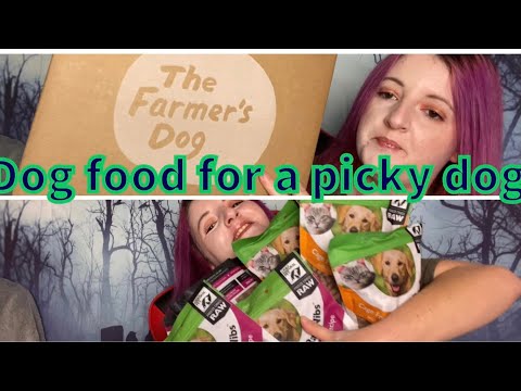 Feeding my picky chihuahua