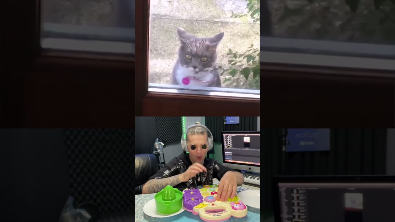 sugarcrash 2 notice me senpai