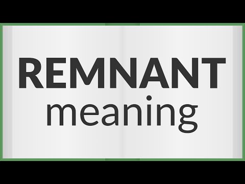 Remnant | meaning of Remnant