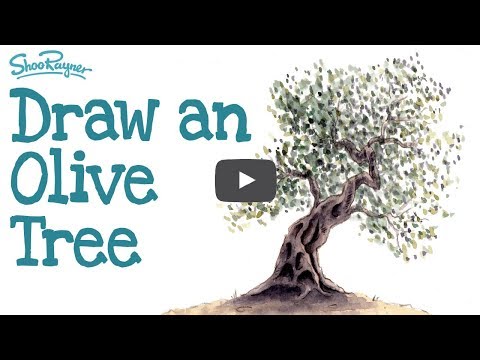 How to Draw an Olive Tree Step by Step – I'm Youtuber – Follow my ...