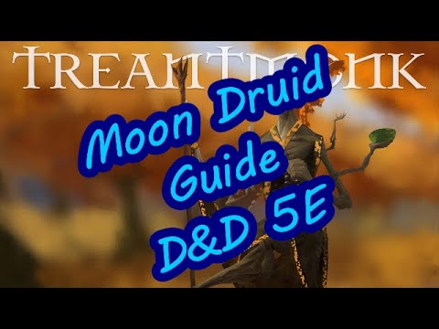 Moon Druid Guide D&D 5E