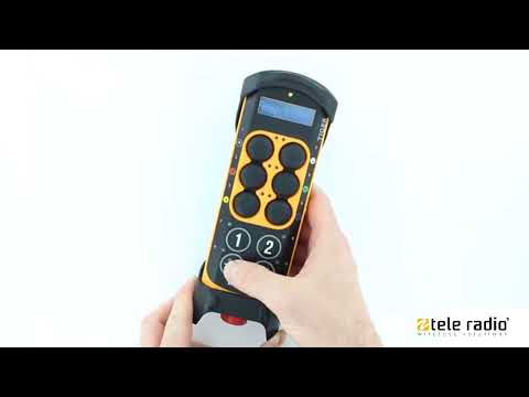 Trader - Wholesaler / Distributor of Radio Remote Control by Tele Radio ...