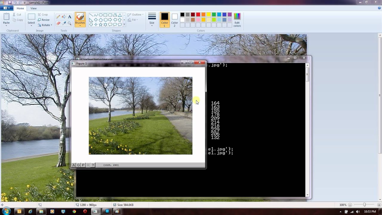 Introduction to Image Processing in Octave