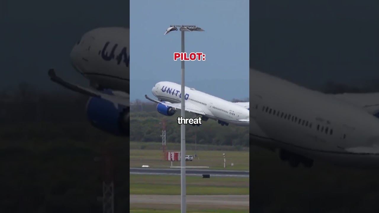 Pilot WARNED Of Alien Encounter 😱