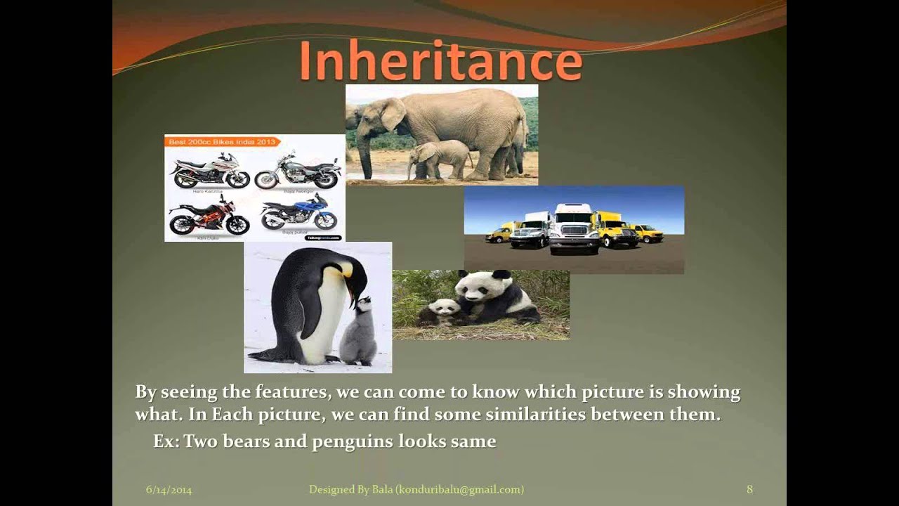 Oops concepts in java | Core Java Trainiing |Object Oriented Concepts