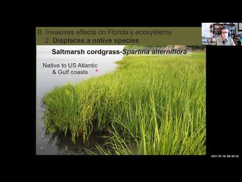 Part 1: Why Are Invasive Species Bad