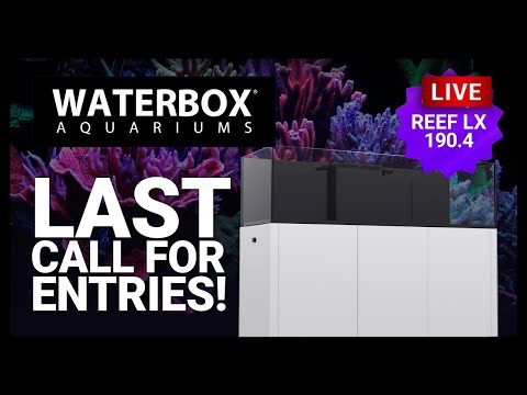Episode 121: It's Almost Giveaway Time! Checking in on the REEF LX 320.7 + FAQ