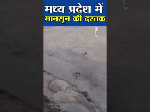 Weather Updates: मानसून ने दी दस्तक! MP में हो रही झमाझम बारिश | Monsoon | VNM