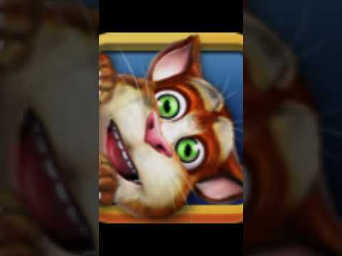talking tom cat 3🗿🍷