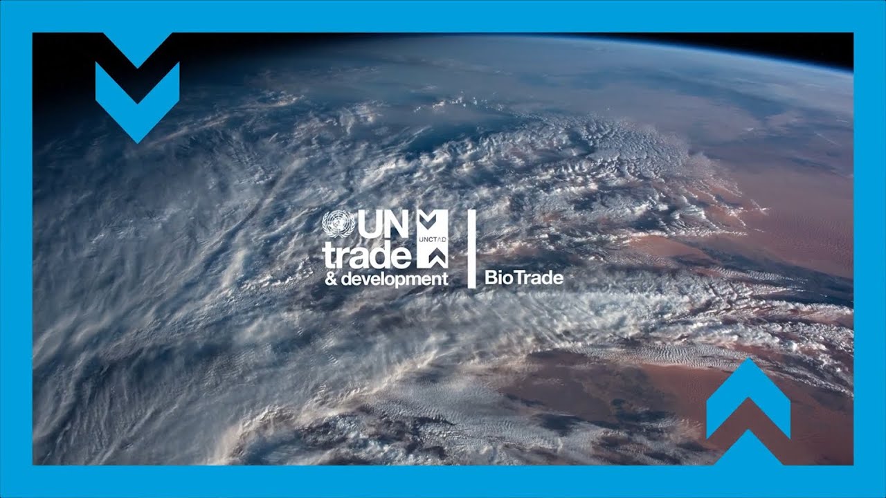 The Kunming-Montreal Biodiversity Framework (KMGBF) and BioTrade