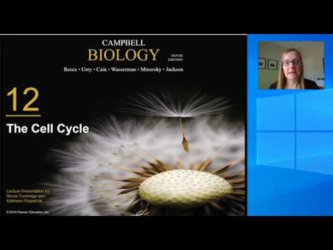 Chapter 12 Cell Cycle Introduction #1
