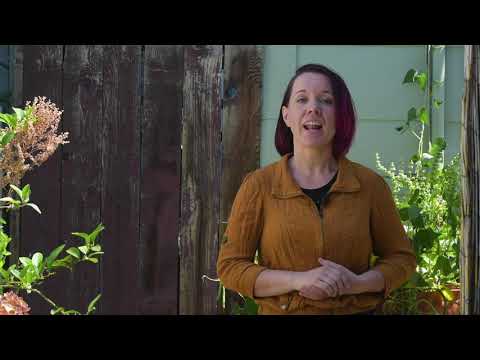 CS First from Anywhere - Distance Learning Tips