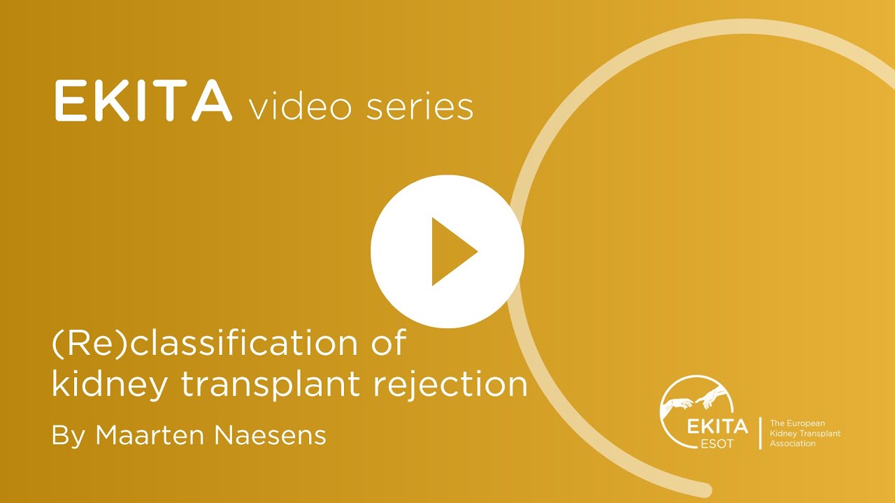 EKITA video series: Reclassification of kidney transplant rejection