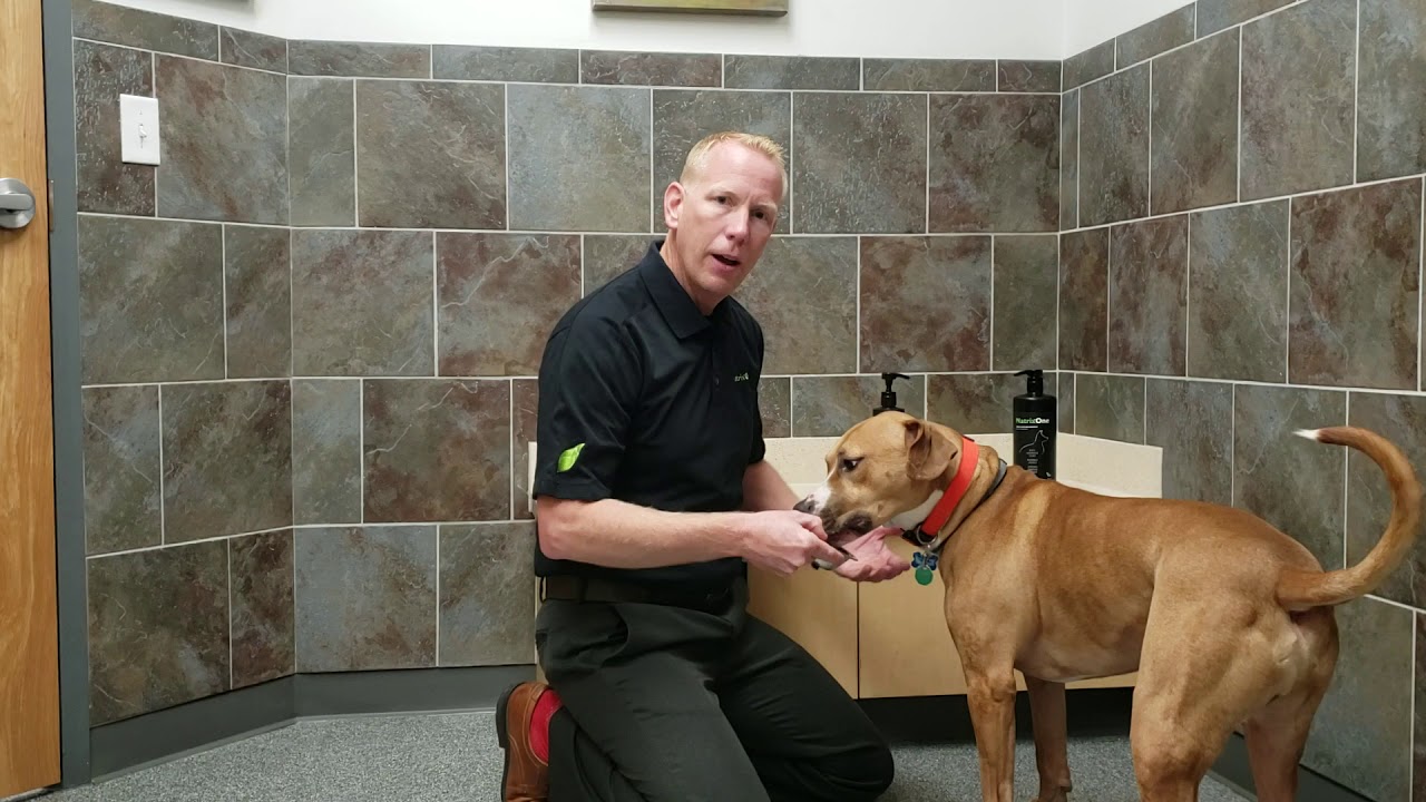 Introducing NatrixOne