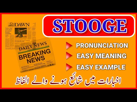 "Stooge" Meaning With Examples In Urdu Hindi | Newspaper Vocabulary