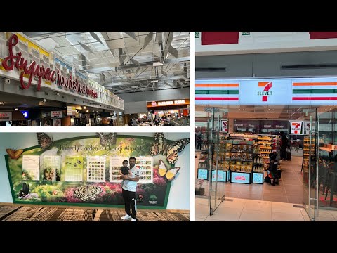 Food And Restaurants at Changi Airport Singapore | Things to Do at World’s Best Airport Terminal 3