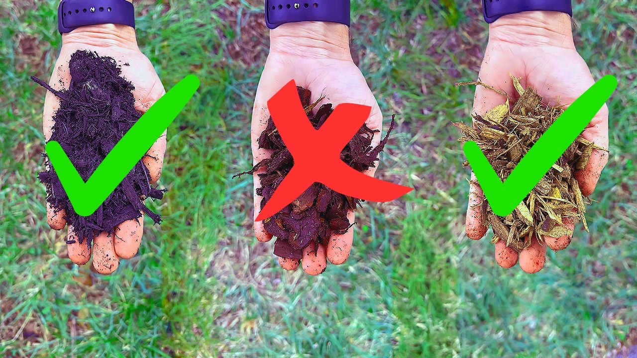 What Mulch is Best (and WORST) for FLOWER BEDS?